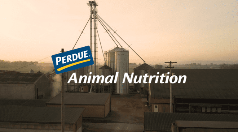 Science Based. Research Driven. - Perdue Animal Nutrition