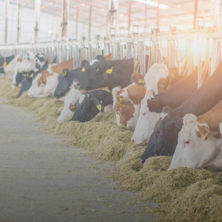 Resources - Perdue Animal Nutrition